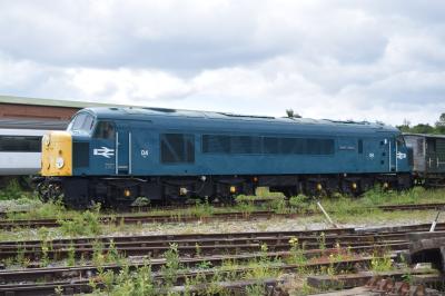 D4 - Class 44 / Locomotives — trainlogger