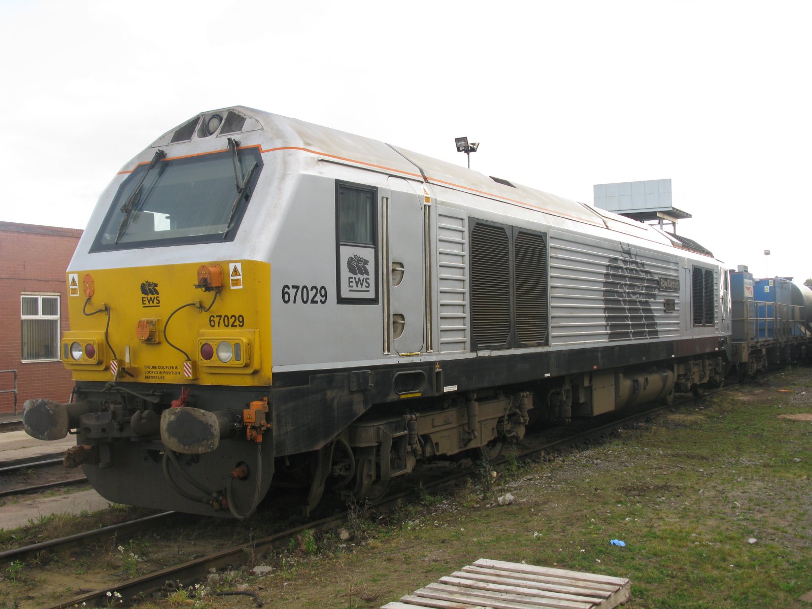 Photo of 67029 at Toton TMD — trainlogger