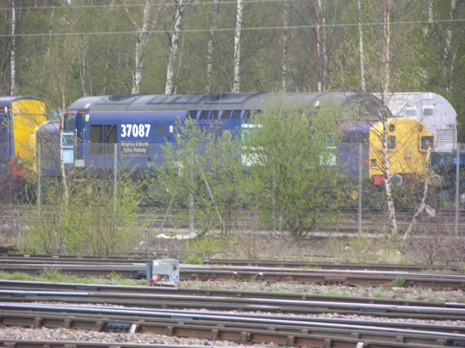 Photo of 37087 at Crewe all areas — trainlogger