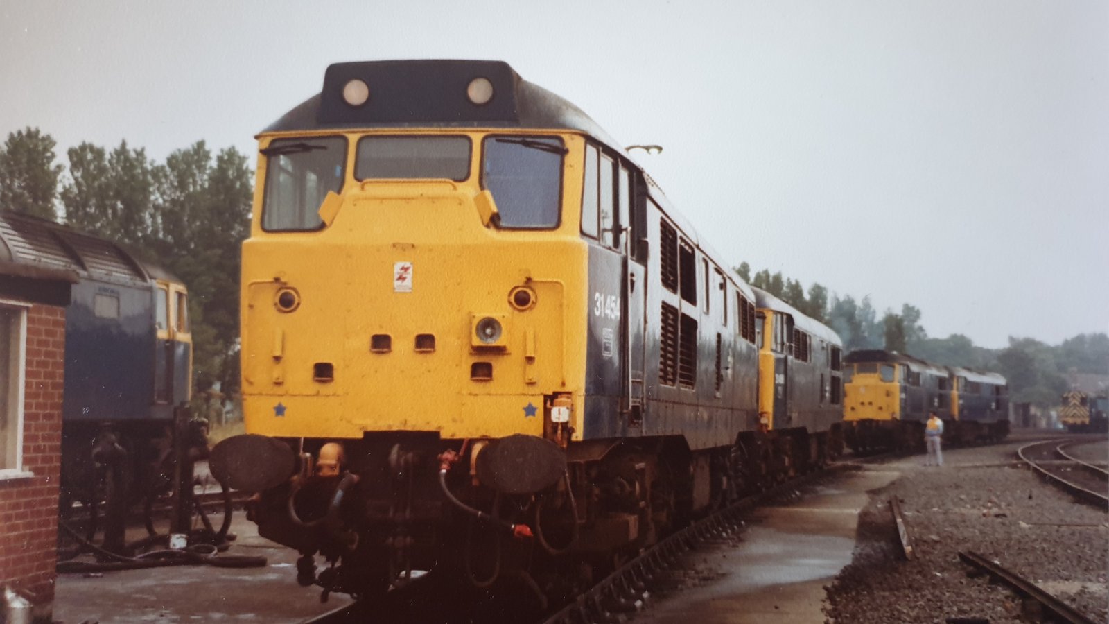 Photo of 31454 at Hull Botanic Gardens — trainlogger