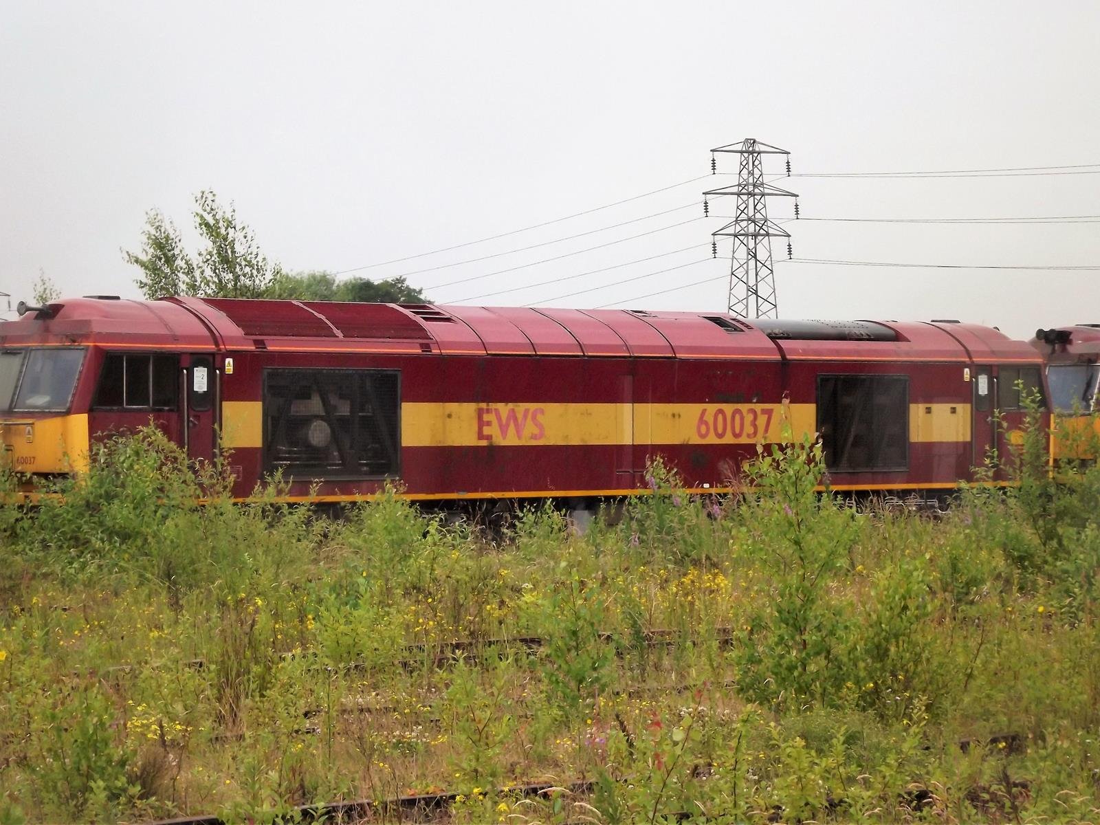 Photo of 60037 at Toton TMD & Yard — trainlogger