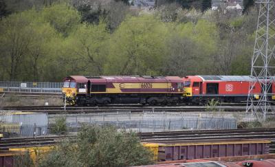 66026 - Class 66 / Locomotives — trainlogger
