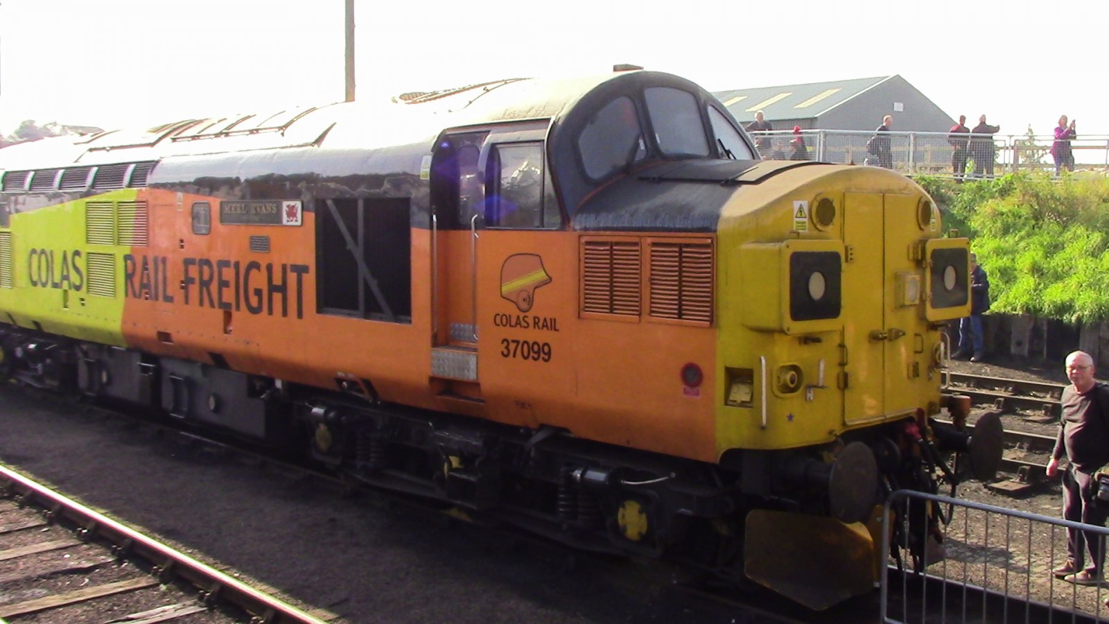 Photo of 37099 at Barrow Hill Roundhouse — trainlogger