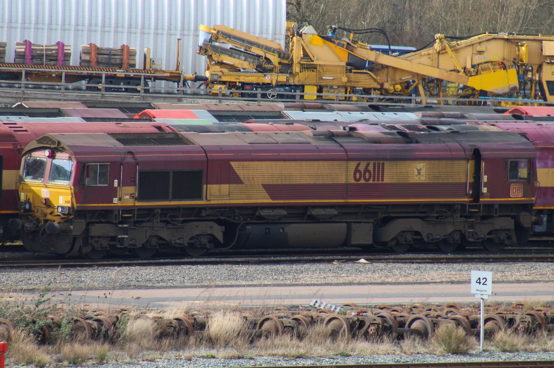 Photo of 66111 at Toton — trainlogger