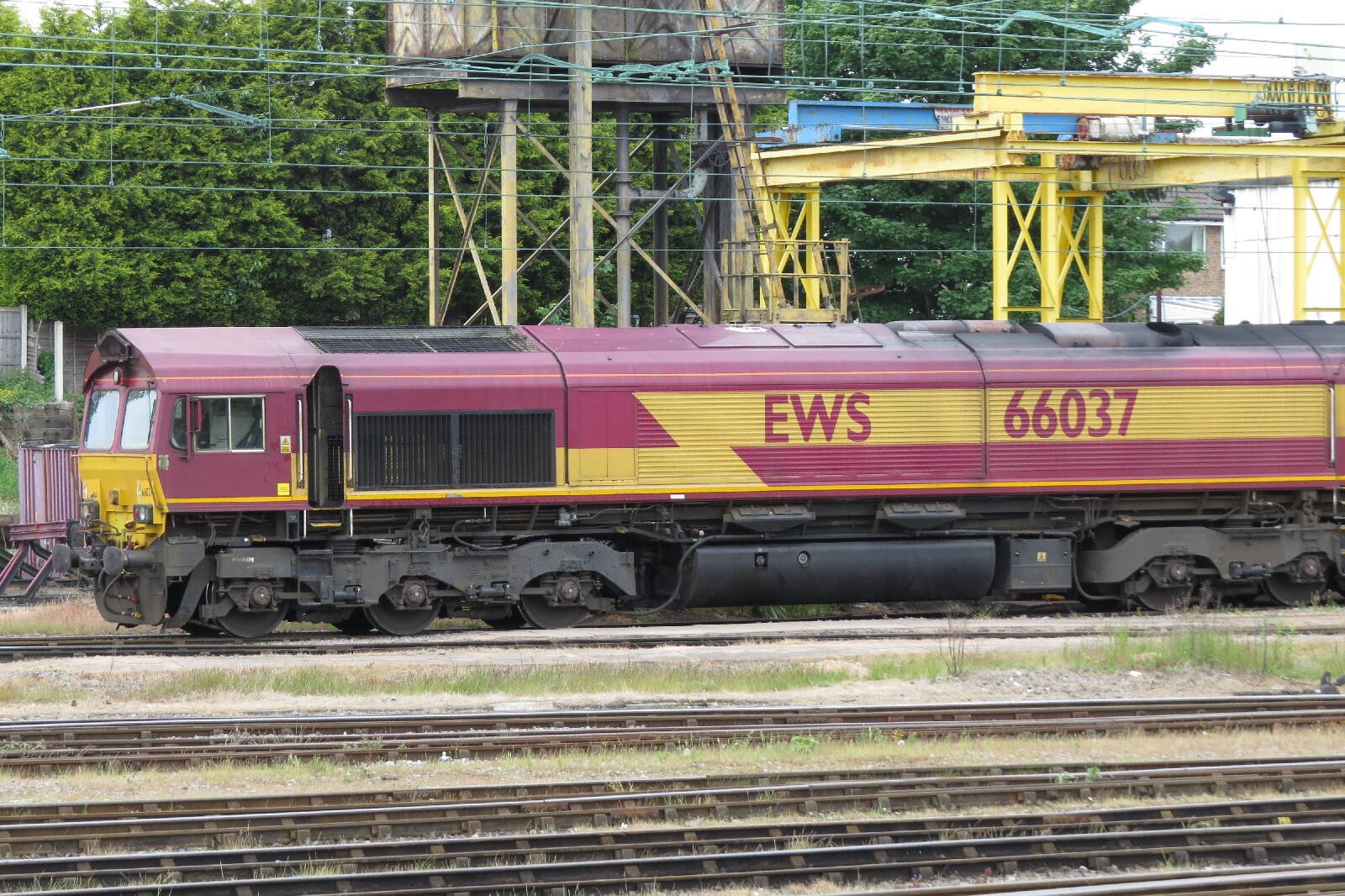 Photo of 66037 at Bescot — trainlogger