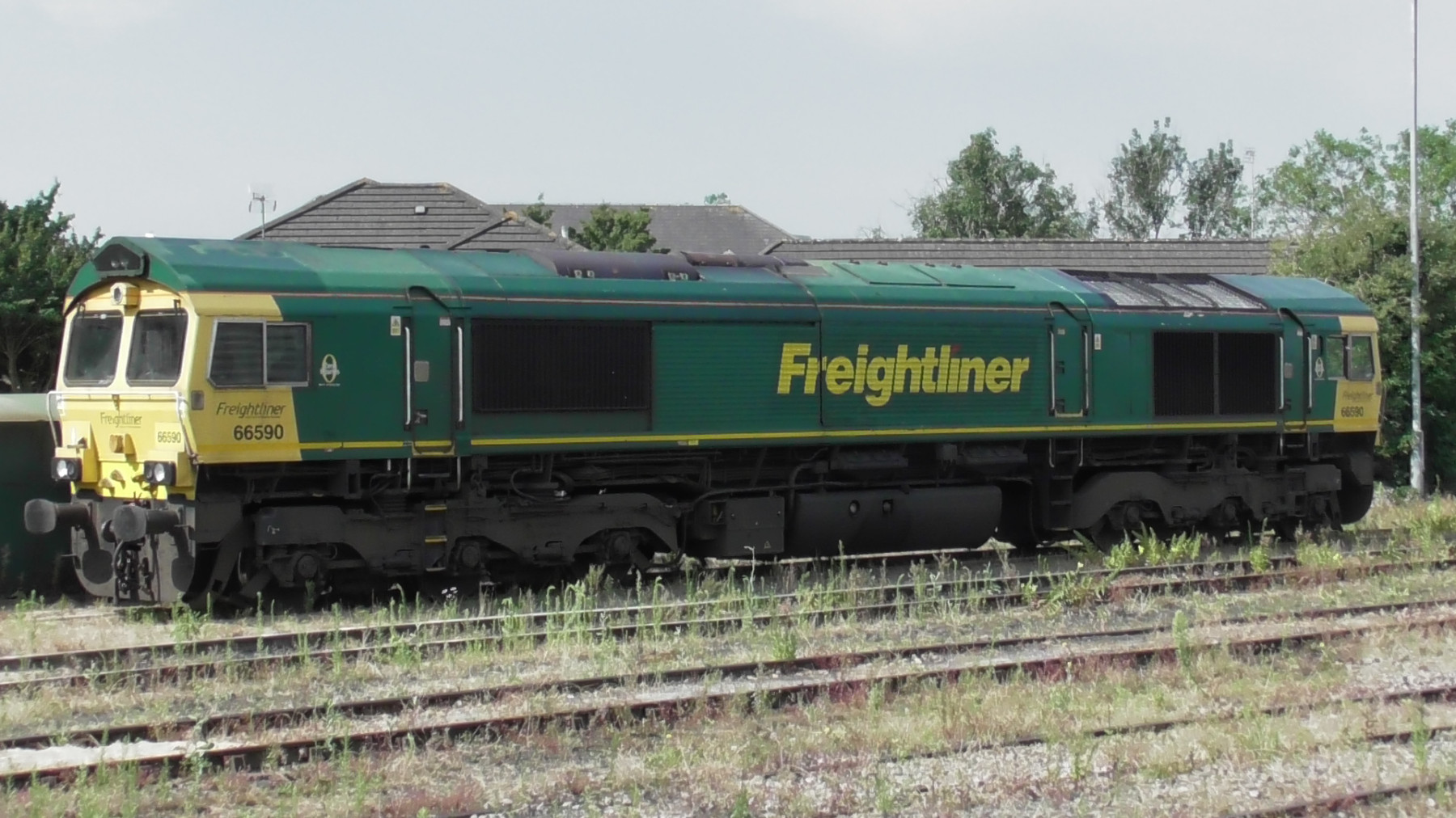Photo of 66590 at Stoke Gifford Freightliner yard — trainlogger