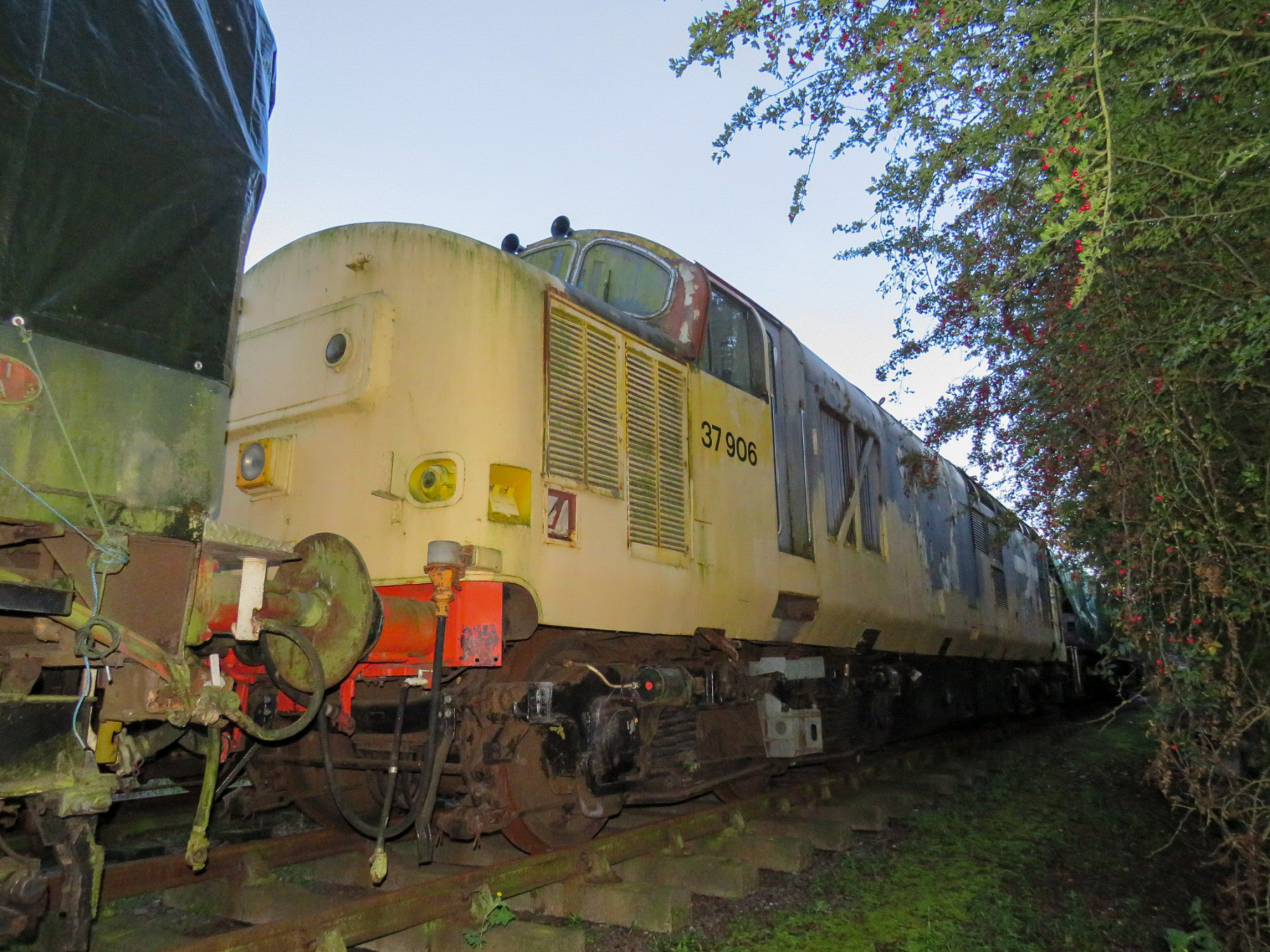 Photo of 37906 at Battlefield Line — trainlogger