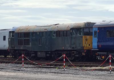 31452 - Class 31 / Locomotives — trainlogger