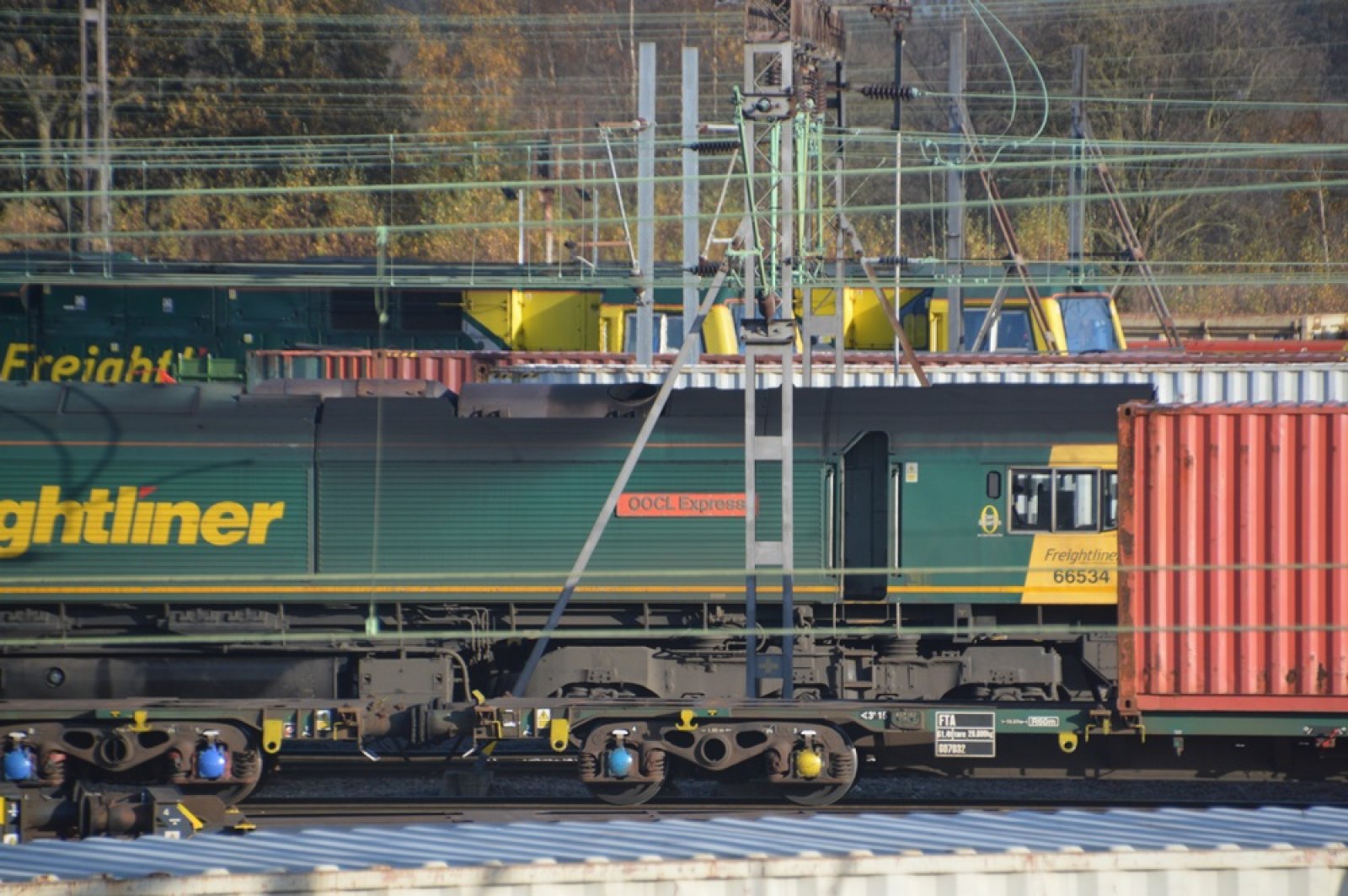 Photo of 66534 at Crewe Basford Hall Freightliner Depot — trainlogger