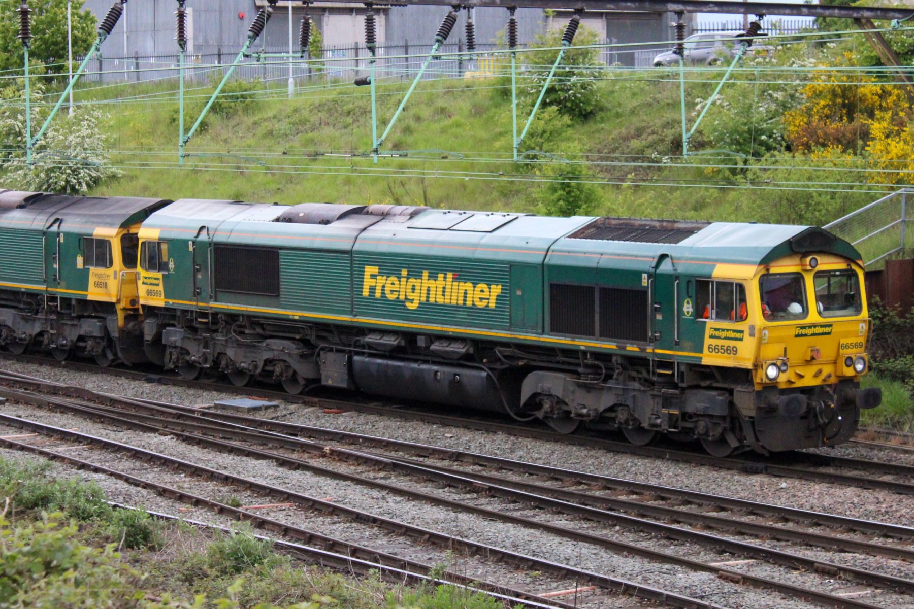 Photo of 66569 at Crewe Basford Hall Freightliner Depot — trainlogger
