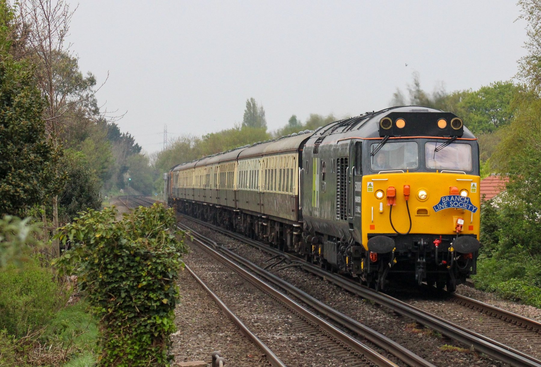 Photo of 50008 at Portchester — trainlogger