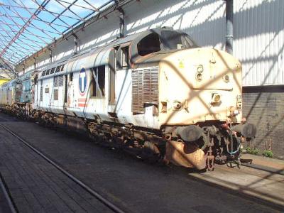 37430 - Class 37 / Locomotives — trainlogger