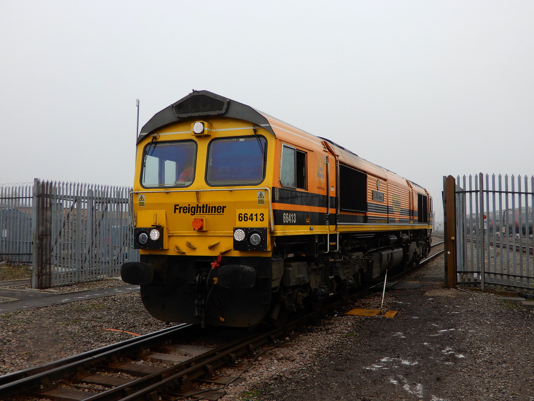 Photo of 66413 at Lawley Street Freightliner Terminal — trainlogger