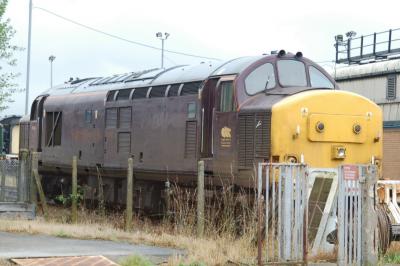 37416 - Class 37 / Locomotives — trainlogger