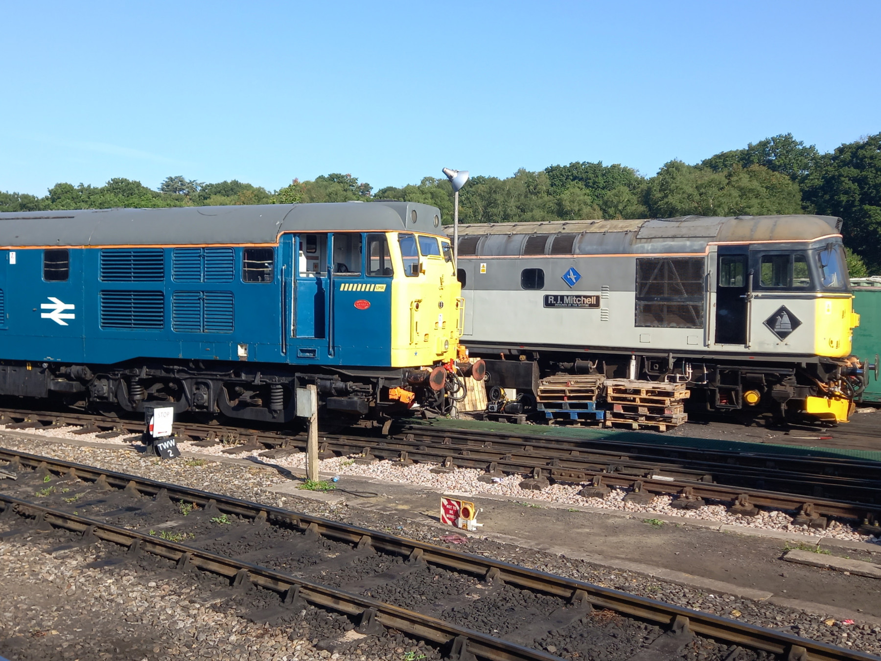 Photo of 31430 and 33063 at Spa Valley Railway 25th Anniversary Summer ...