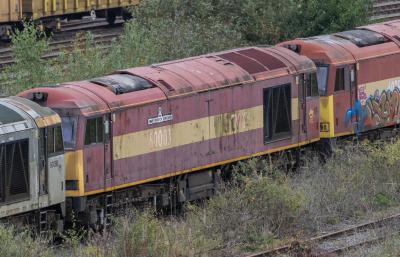 60003 - Class 60 / Locomotives — trainlogger