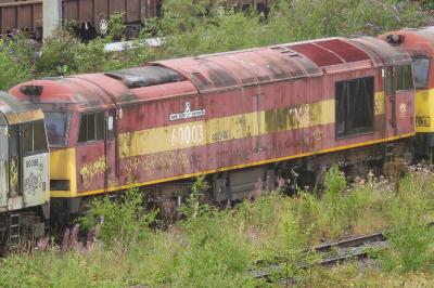 60003 - Class 60 / Locomotives — trainlogger