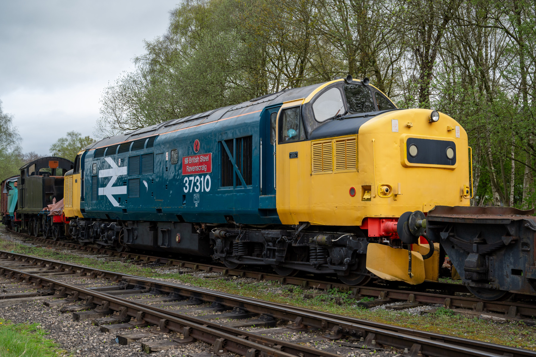 Photo of 37310 at Peak Rail - Rowsley — trainlogger