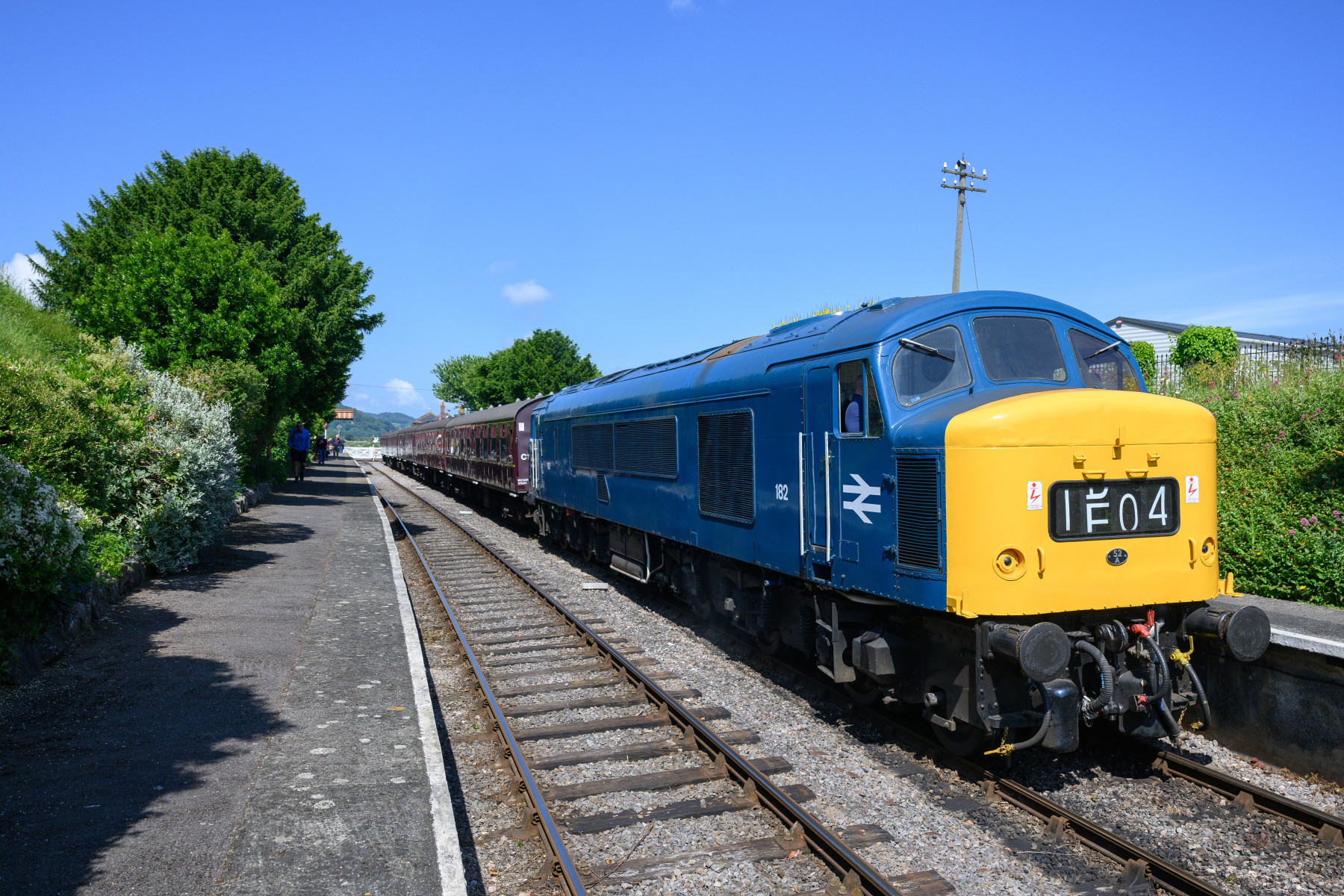 Photo of D182 at West Somerset Railway - Blue Anchor — trainlogger