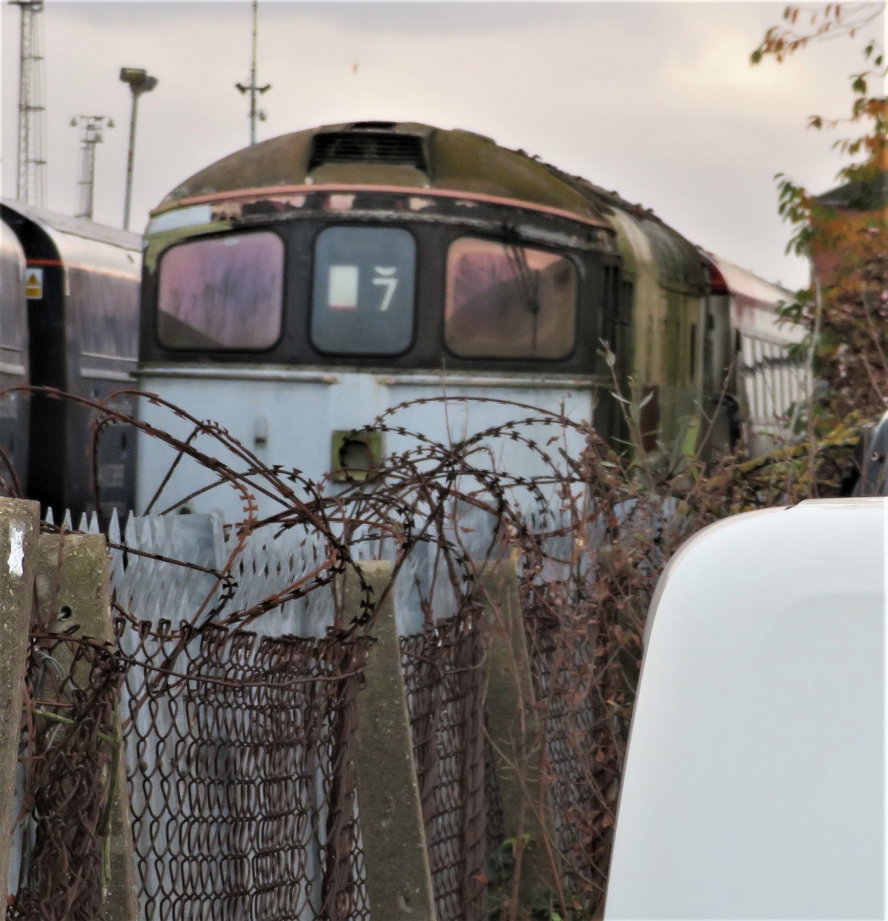 Photo of 33019 at Burton-on-Trent - Nemesis Rail — trainlogger