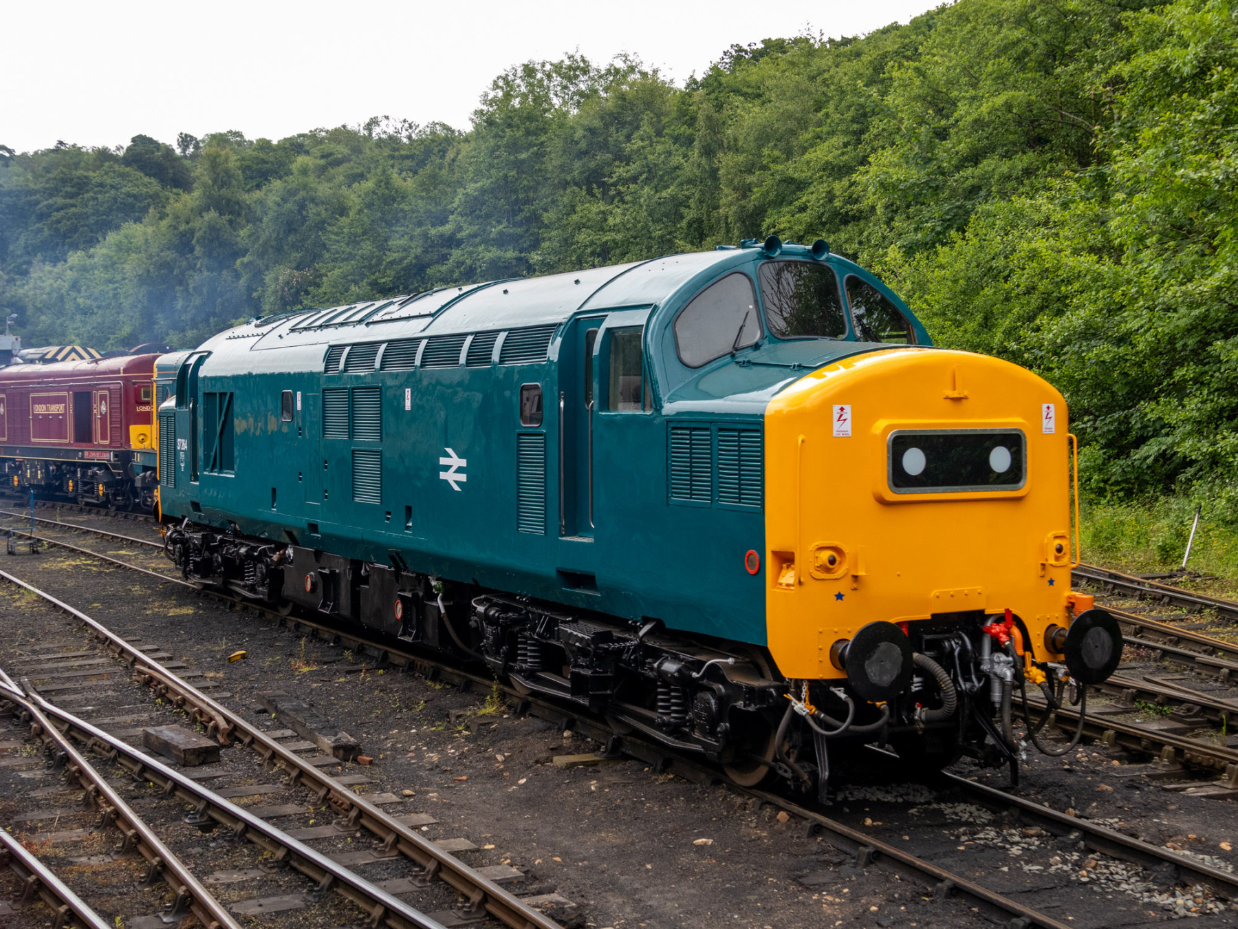Photo of 37264 at North Yorkshire Moors Railway - Grosmont TMD ...
