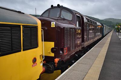 37685 - Class 37 / Locomotives — trainlogger