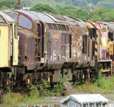 37712 - Class 37 / Locomotives — trainlogger