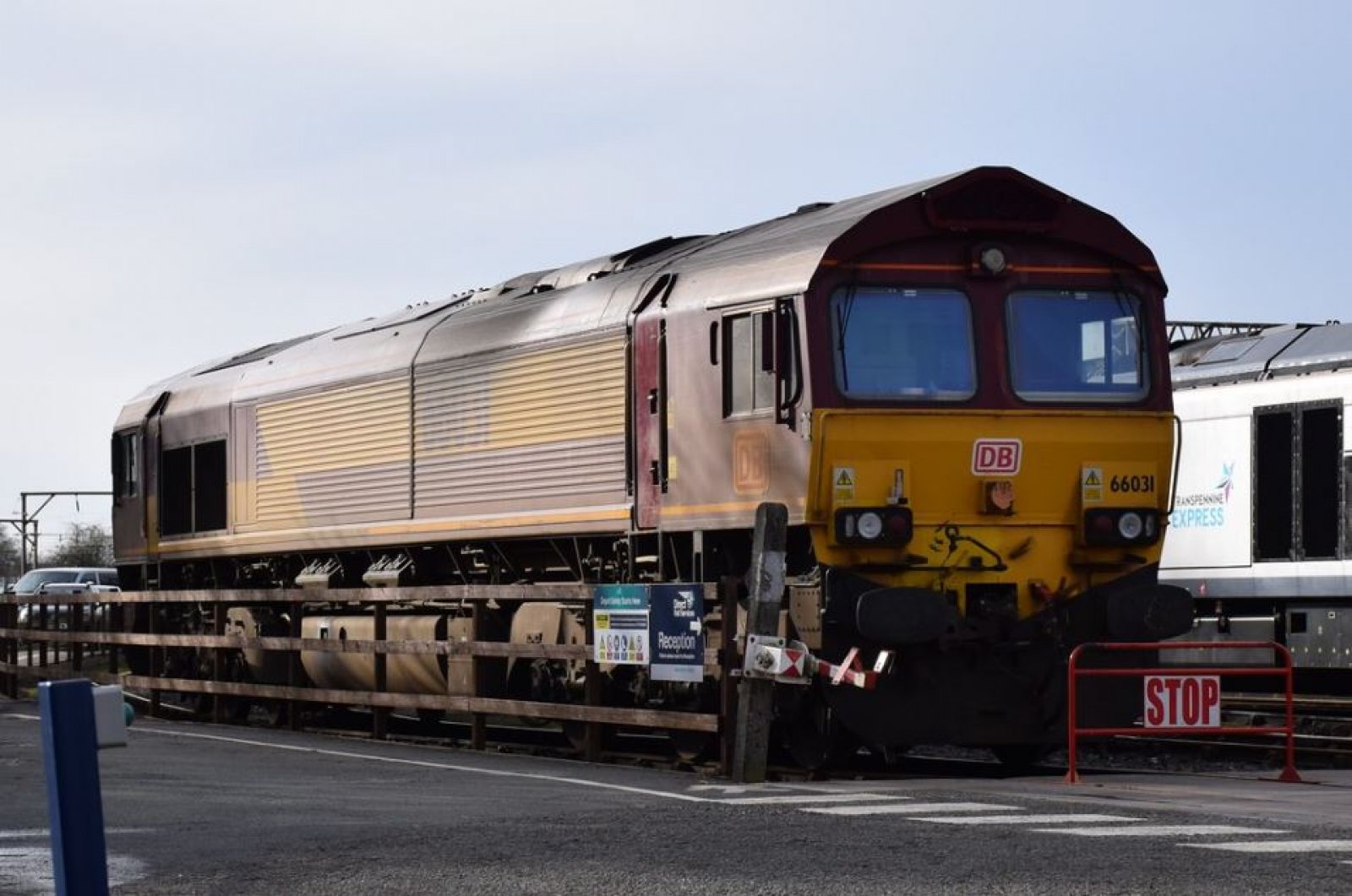 Photo of 66031 at Crewe Gresty Bridge — trainlogger