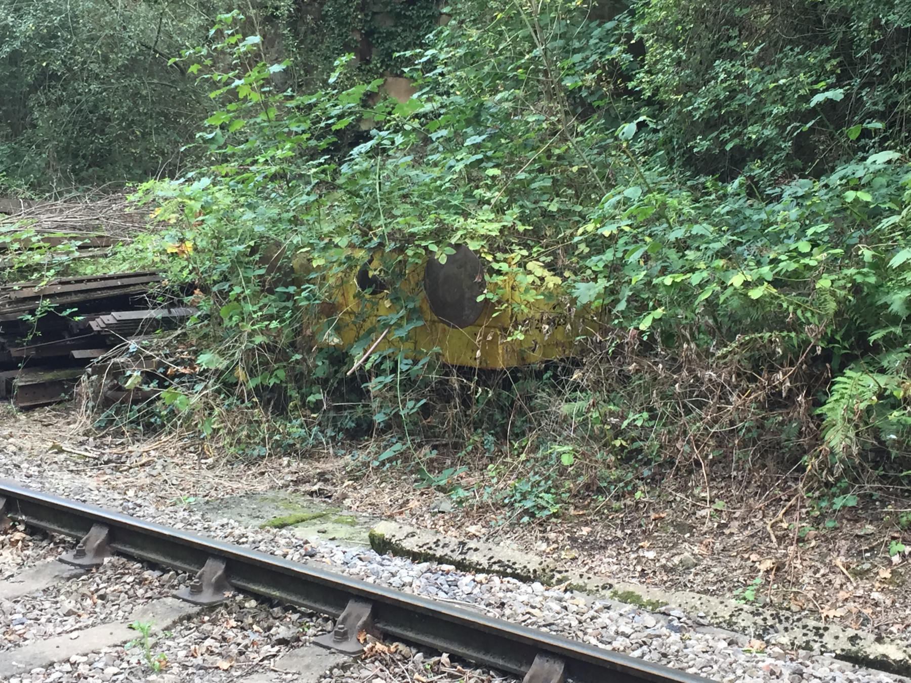 Photo of RH252823 at Avon Valley Railway - Bitton — trainlogger