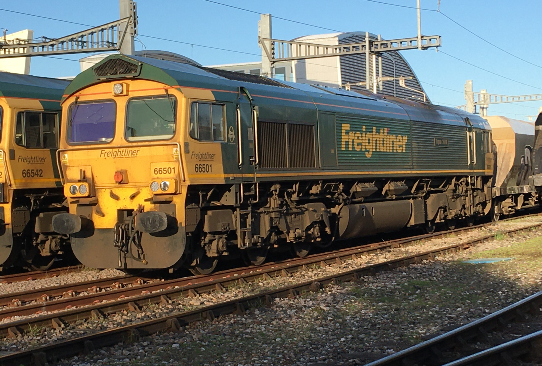 Photo of 66501 at Stoke Gifford Freightliner yard — trainlogger