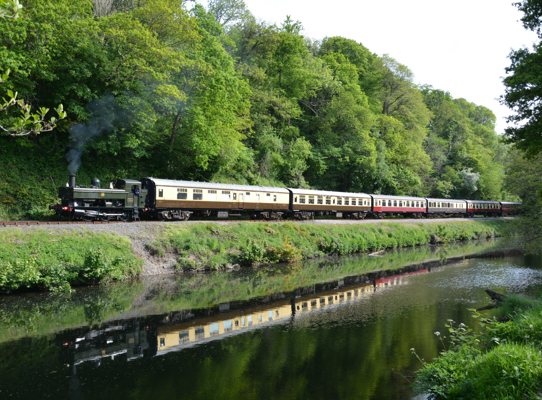 Photo of 1369 steam at South Devon Railway - River Dart — trainlogger