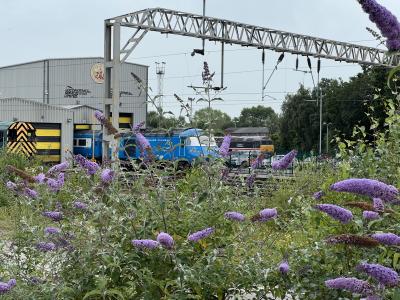 47841 - Class 47 / Locomotives — trainlogger