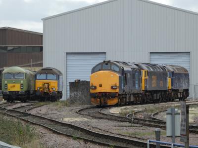 37218 - Class 37 / Locomotives — trainlogger