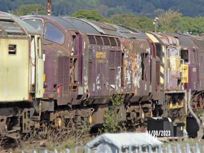 37712 - Class 37 / Locomotives — trainlogger