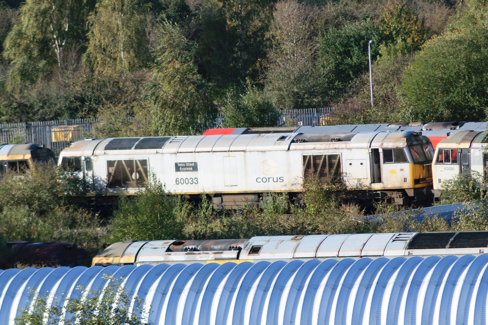 Photo of 60033 at Toton — trainlogger