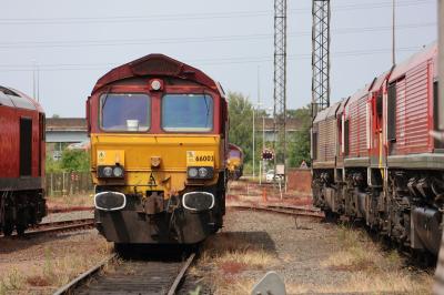 66003 - Class 66 / Locomotives — trainlogger