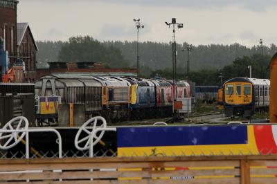 59003 - Class 59 / Locomotives — trainlogger