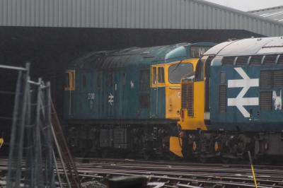 27001 - Class 27 / Locomotives — trainlogger