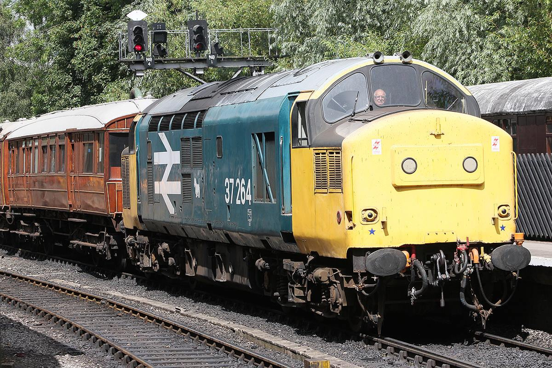 Photo of 37264 at North Yorkshire Moors Railway — trainlogger