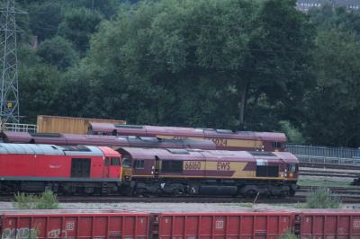 66024 - Class 66 / Locomotives — trainlogger