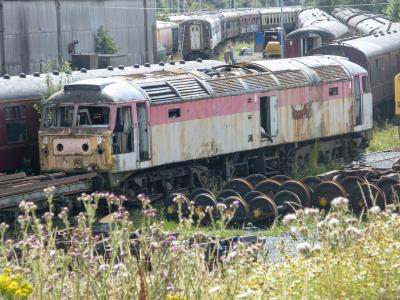 47972 - Class 47 / Locomotives — trainlogger