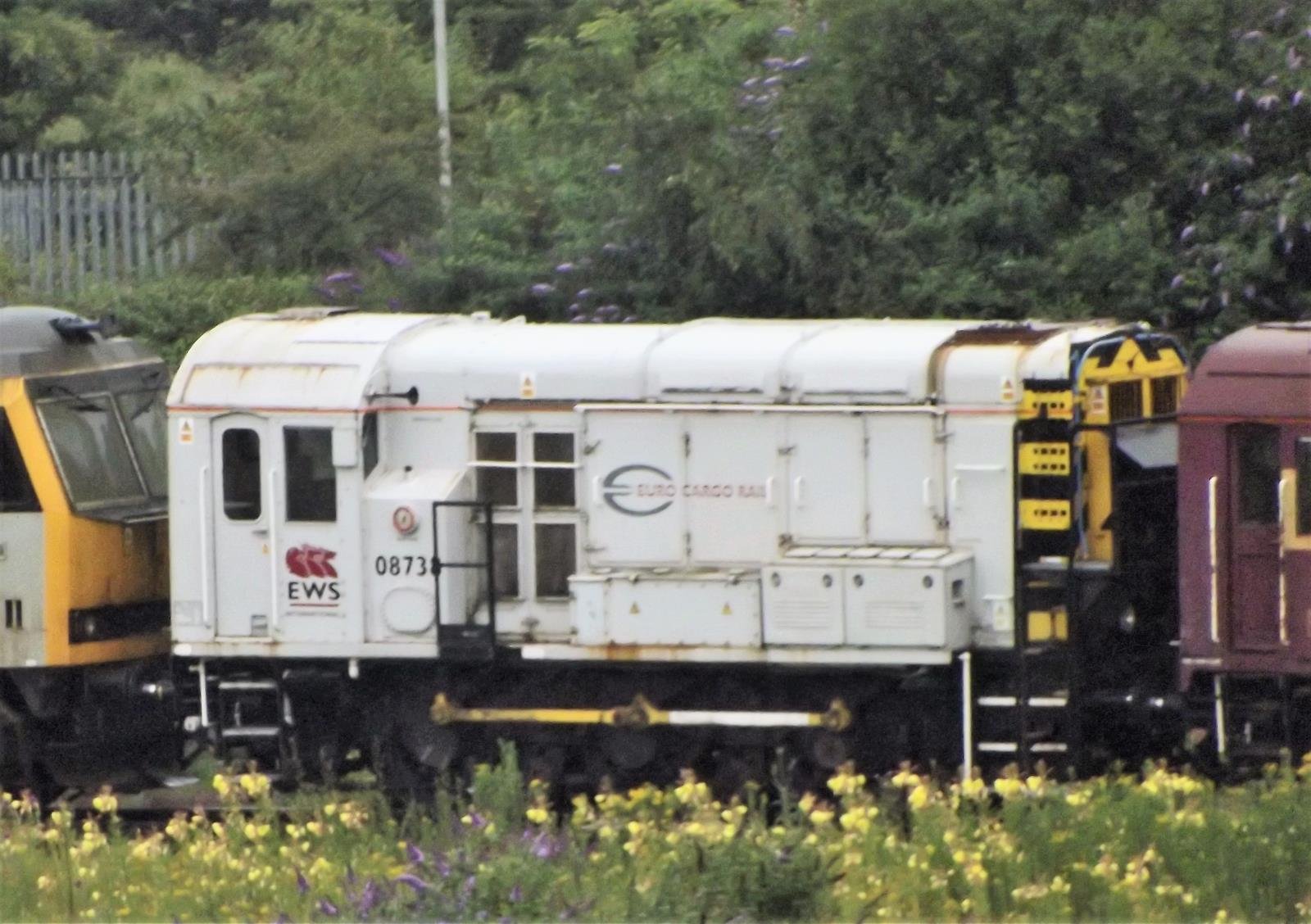 Photo of 08738 at Toton TMD & Yard — trainlogger