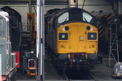 37075 - Class 37 / Locomotives — trainlogger