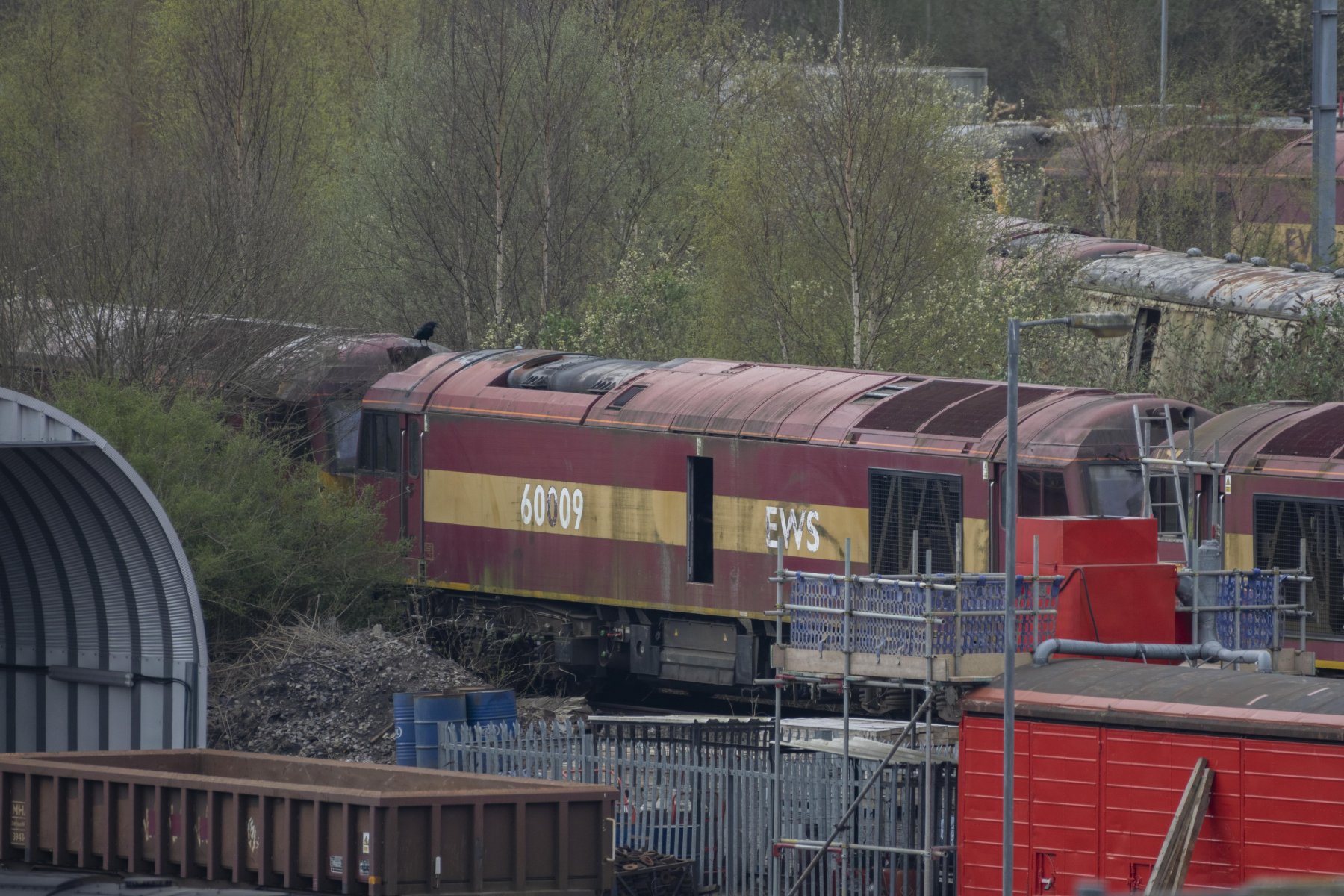Photo of 60009 at Toton TMD — trainlogger