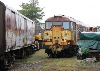 31461 - Class 31 / Locomotives — trainlogger