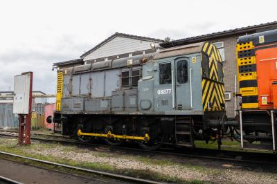 08877 - Class 08 / Locomotives (shunters) — trainlogger