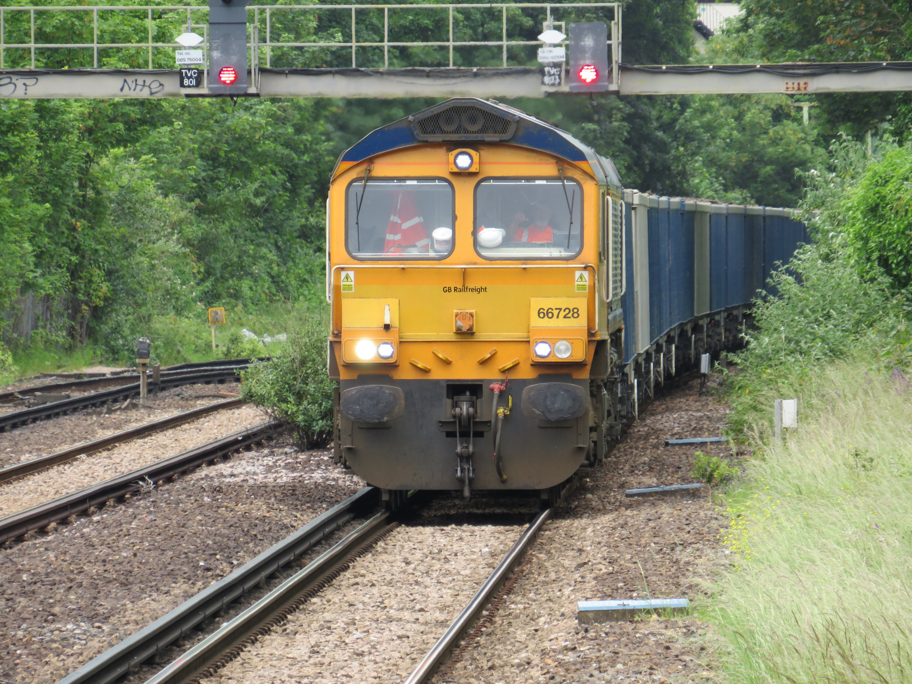 Photo of 66728 at Kensington Olympia — trainlogger