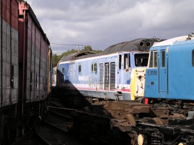 50023 - Class 50 / Locomotives — trainlogger