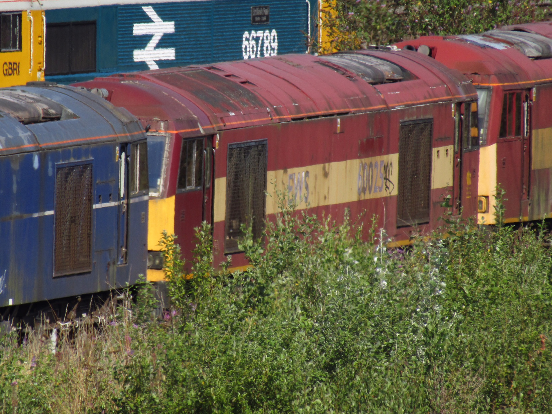 Photo of 60025 at Toton TMD — trainlogger