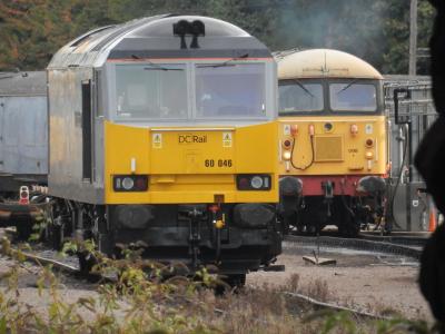 60046 - Class 60 / Locomotives — trainlogger
